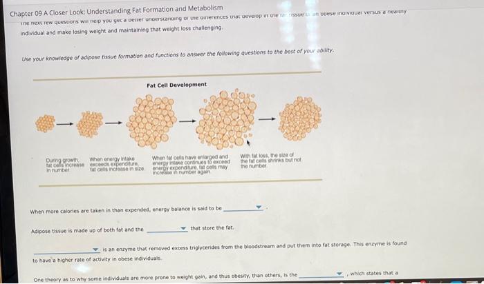 Solved hapter 09 A Closer Look. Understanding Fat. Formation | Chegg.com