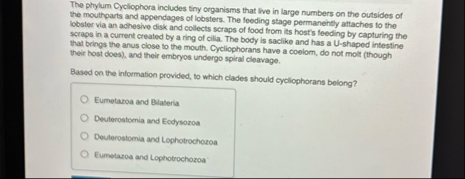 The phylum Cycliophora includes tiny organisms that | Chegg.com