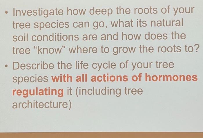 Solved Investigate how deep the roots of your tree species | Chegg.com