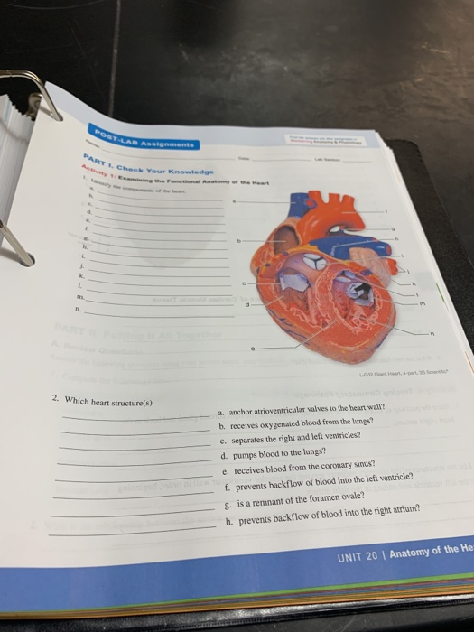 Solved POST LAB Assignments PART Check Your Knowledge Ac ty | Chegg.com