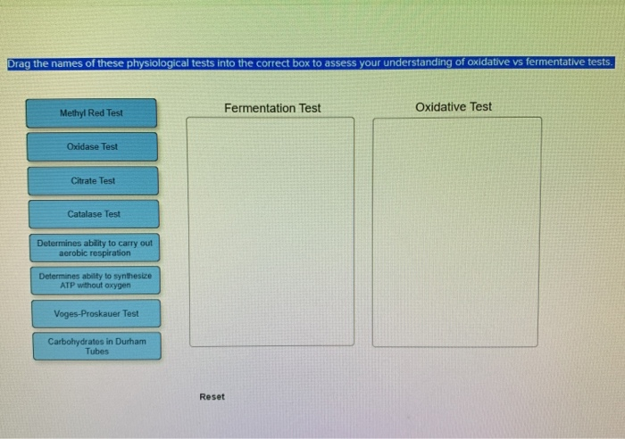 Solved Drag the names of these physiological tests into the | Chegg.com