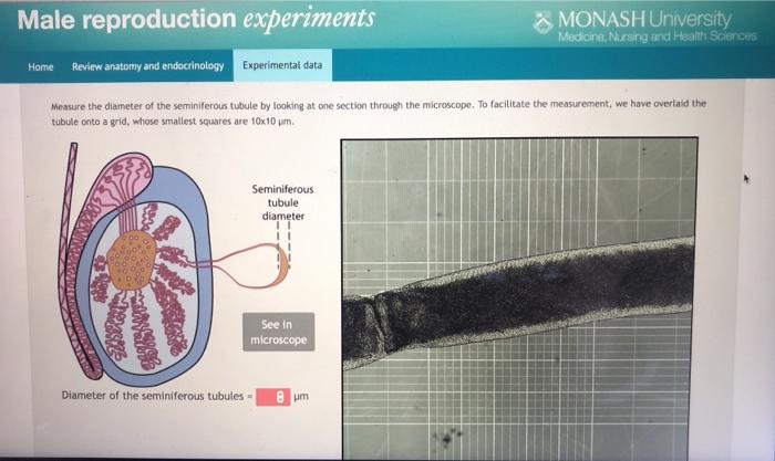 Solved Male reproduction experiments MONASH University | Chegg.com