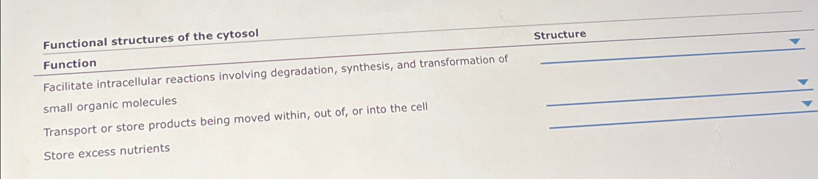 Solved Functional structures of the | Chegg.com