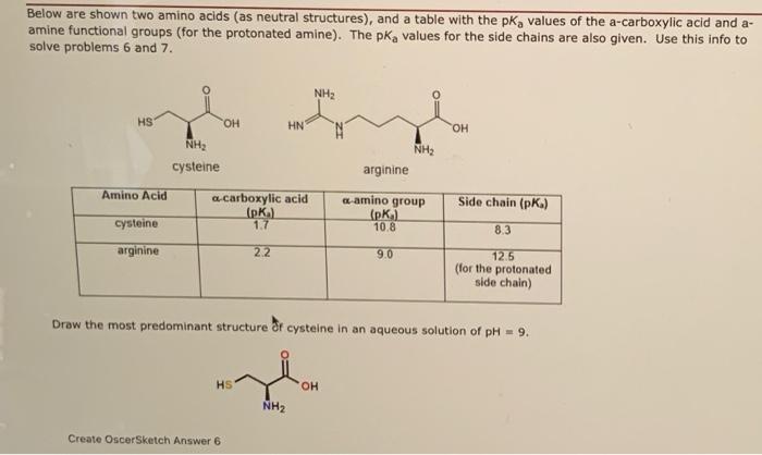Solved Below are shown two amino acids (as neutral | Chegg.com