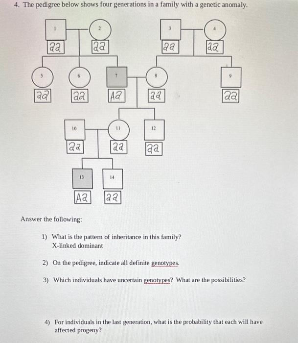 Solved Genetics- biologyQuestions 3 and 4 but can someone | Chegg.com