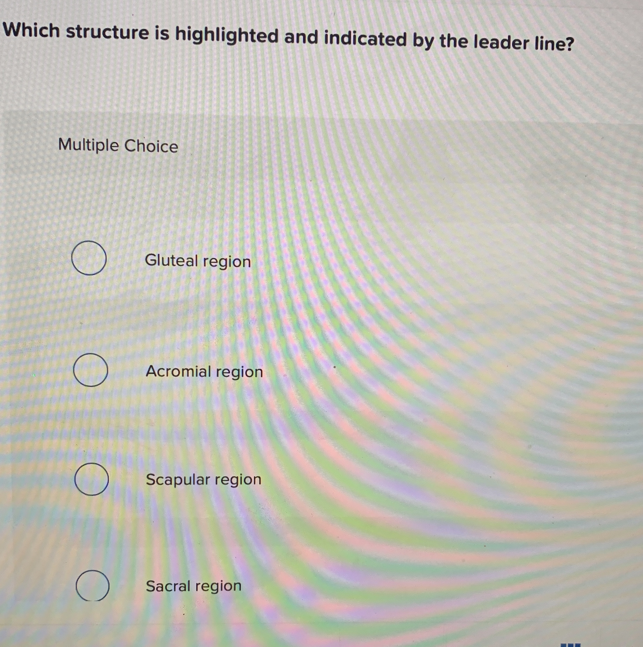 Solved Which structure is highlighted and indicated by the | Chegg.com