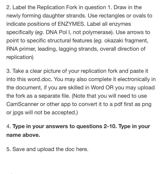 Solved 2. Label the Replication Fork in question 1. Draw in | Chegg.com