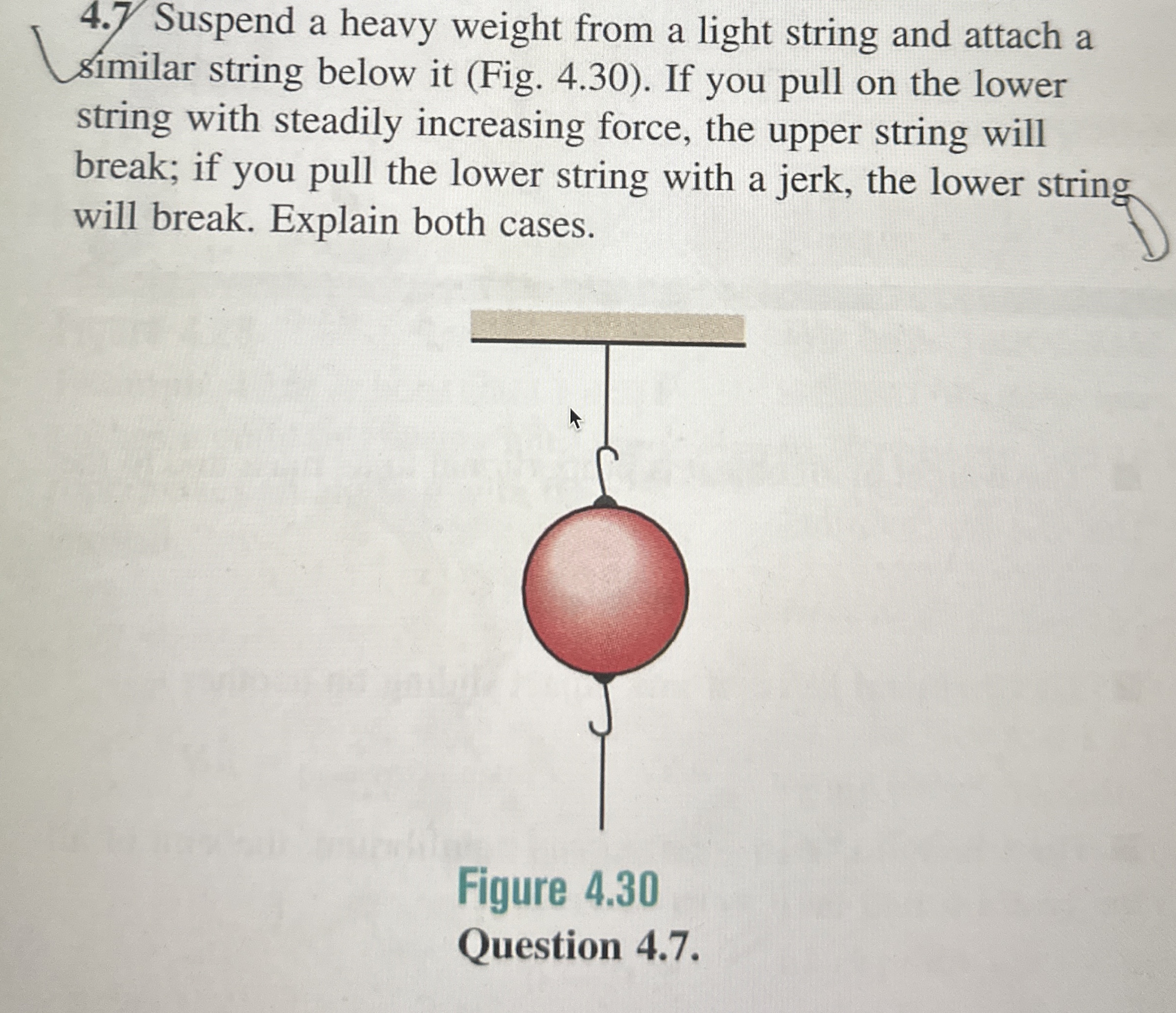 Solved Suspend a heavy weight from a light string and attach | Chegg.com