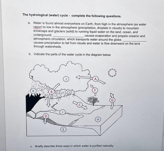Solved The hydrological (water) cycle - complete the | Chegg.com