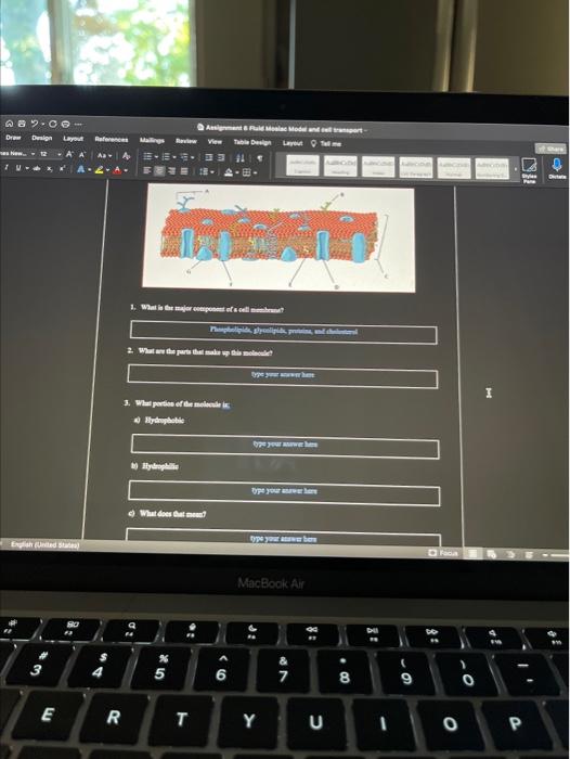 Solved Drew Design Layout Referens Mailings Asant Role | Chegg.com
