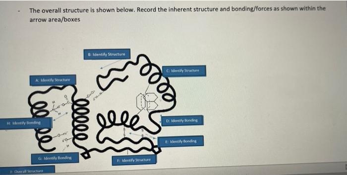 Solved The overall structure is shown below. Record the | Chegg.com