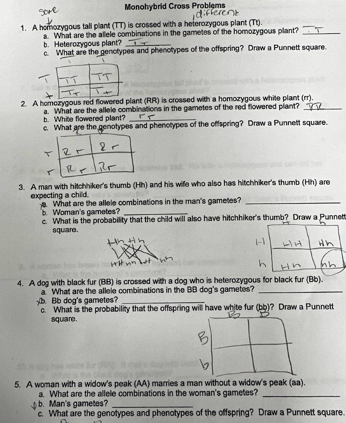 Solved Monohybrid Cross Problemssare1 ﻿differentA homozygous | Chegg.com