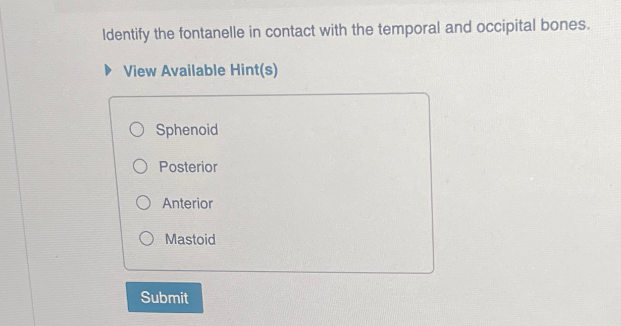 Solved Identify the fontanelle in contact with the temporal | Chegg.com