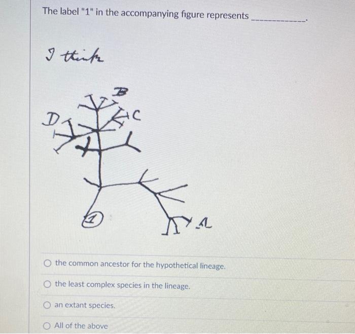 Solved The label "1" in the accompanying figure represents | Chegg.com