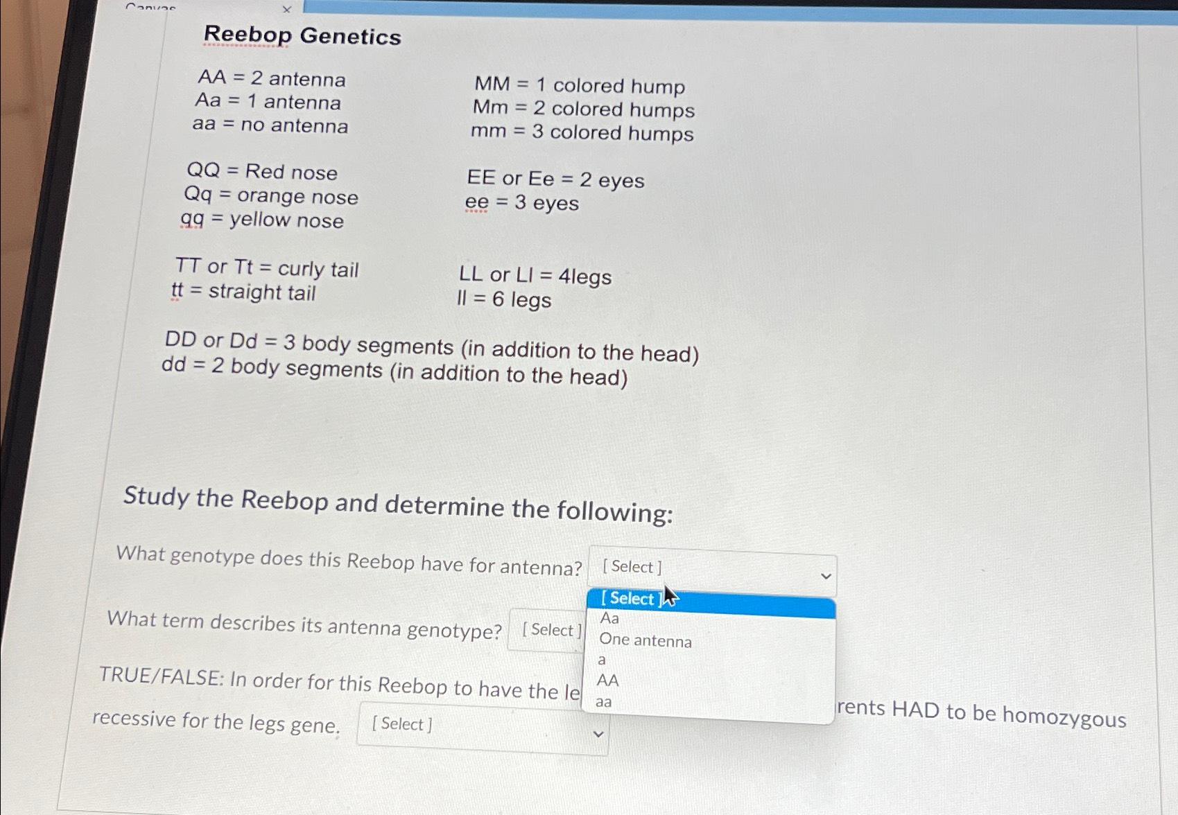 Solved Reebop Genetics\table[[AA=2 ﻿antenna,MM=1 ﻿colored | Chegg.com