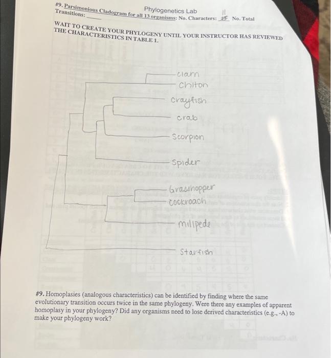 Phylogenetics Lab Transitions: WATT TO CREATE YOUR | Chegg.com
