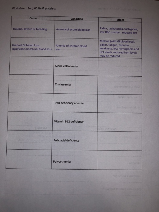 Solved Worksheet: Red, White & platelets Term Definition/Key | Chegg.com