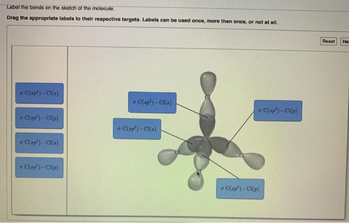 Solved Label the bonds on the sketch of the molecule. Drag | Chegg.com