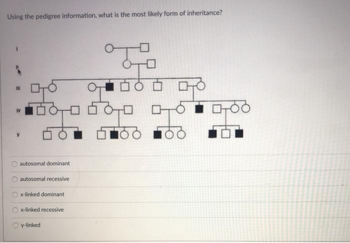 Solved Using the pedigree information, what is the most | Chegg.com