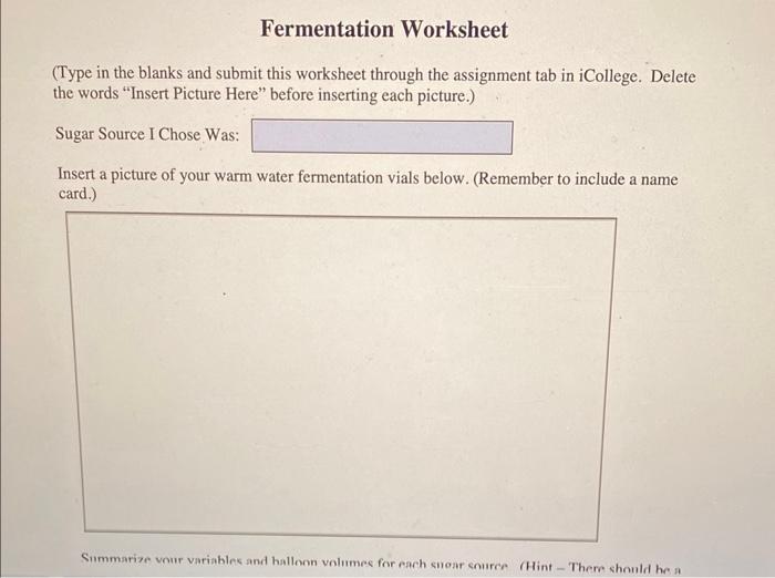 Fermentation Worksheet (Type in the blanks and submit | Chegg.com