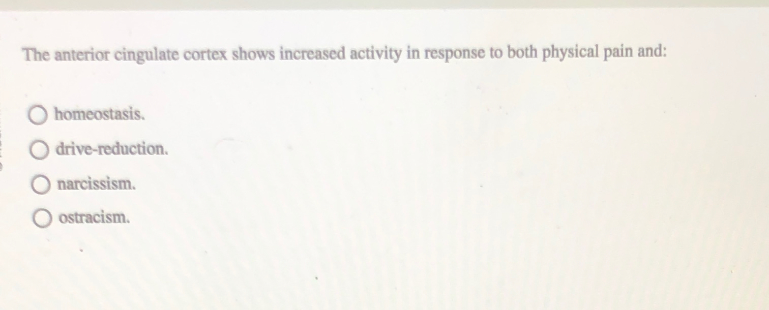 Solved The anterior cingulate cortex shows increased | Chegg.com