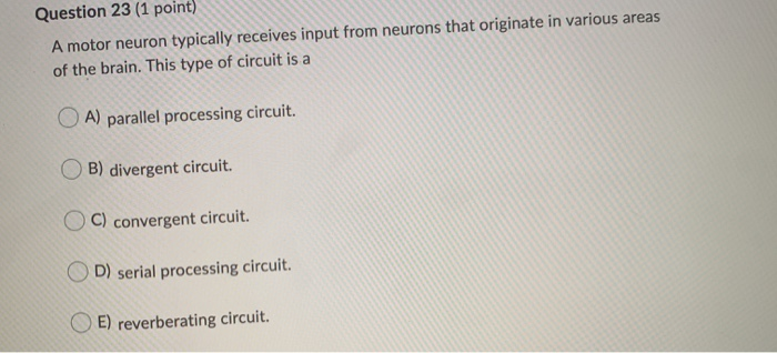 Solved состо со A motor neuron typically receives input from | Chegg.com