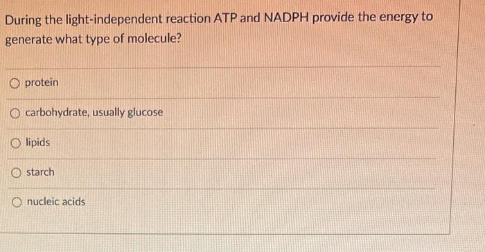 Solved During the light-independent reaction ATP and NADPH | Chegg.com