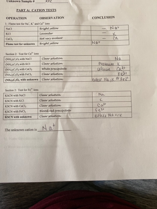 Solved Determination of Cation and Anion of Unknown Salt | Chegg.com