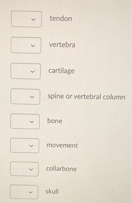 Solved Match the root / combining forms with their meaning | Chegg.com