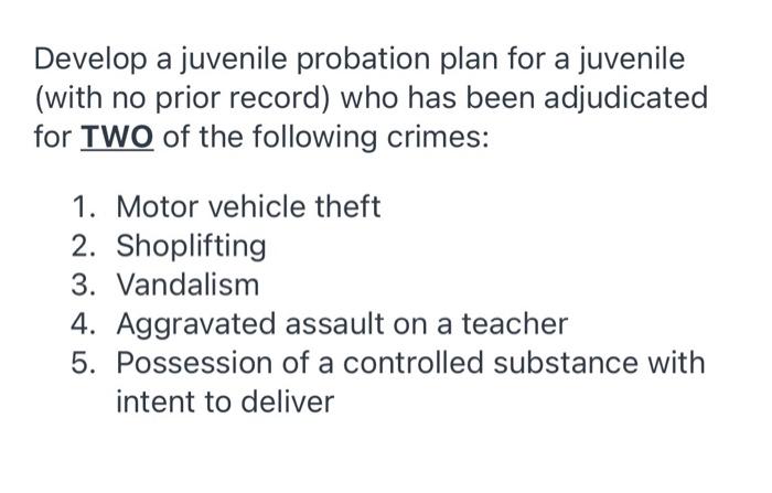 Develop a juvenile probation plan for a juvenile | Chegg.com