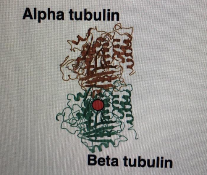 Solved The following figure shows the 3D structure of a | Chegg.com