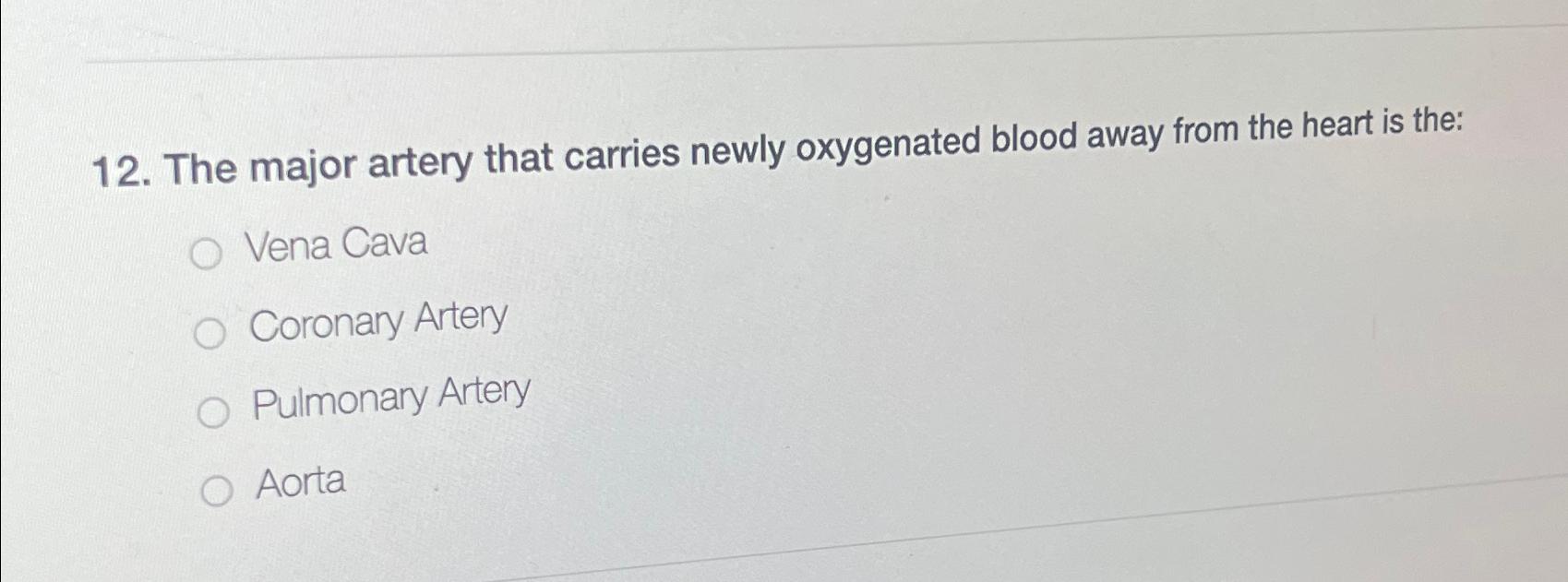 Solved The major artery that carries newly oxygenated blood | Chegg.com