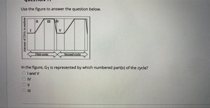 Solved Use the figure to answer the question below. In the | Chegg.com