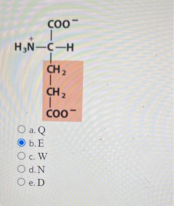 Solved COO- H3N-C-H CH 2 CH2 1 COO O a.Q b. E O c. W Od.N O | Chegg.com