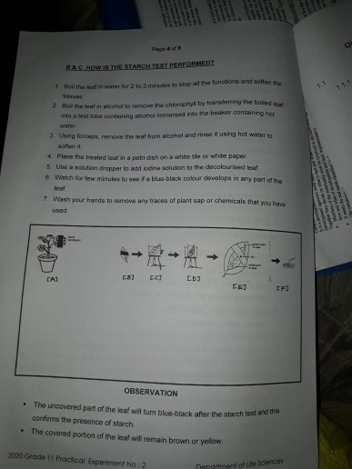 Solved Page 5 of QUESTIONS 1.1 DESTARCHING THE LEAF 1.11 | Chegg.com