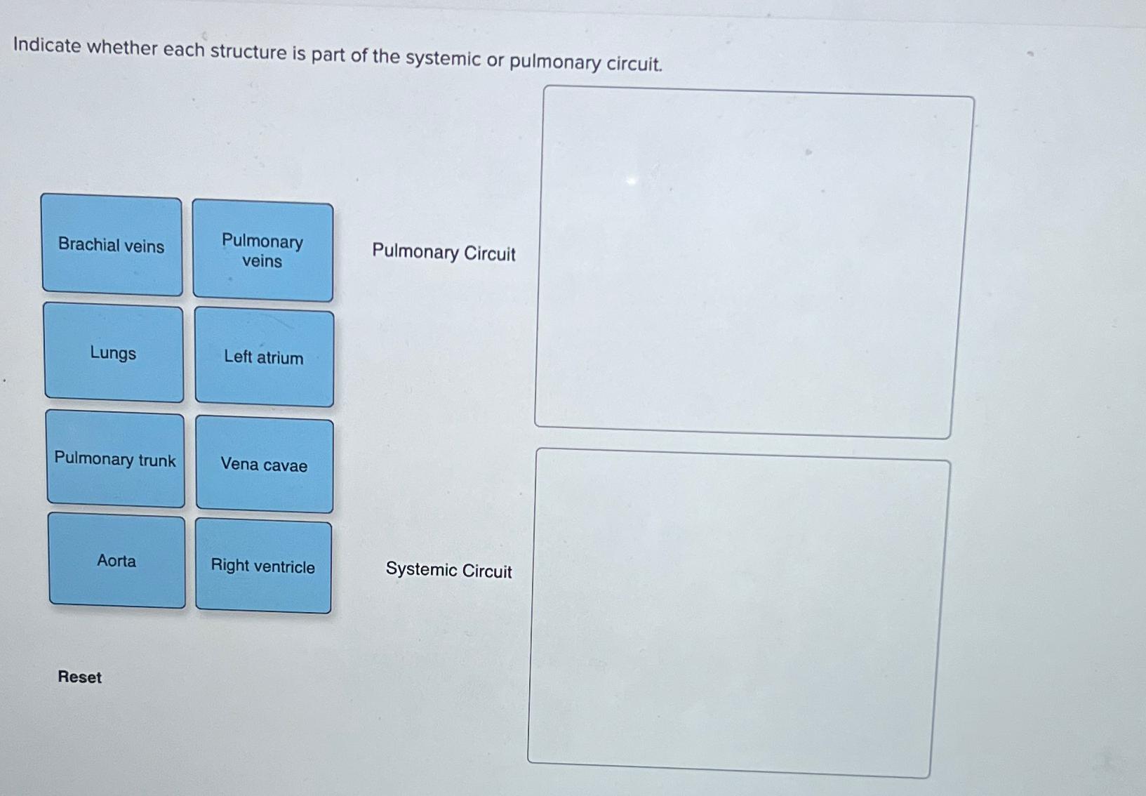 Solved Indicate whether each structure is part of the | Chegg.com Solved Indicate whether each structure is part of the | Chegg.com