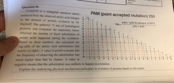 Solved sholassnd Question #6, PAM250 is a triangular | Chegg.com