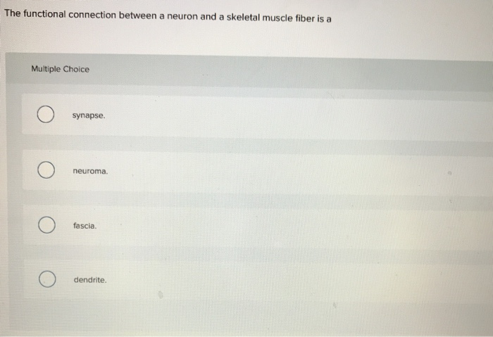 Solved The functional connection between a neuron and a | Chegg.com