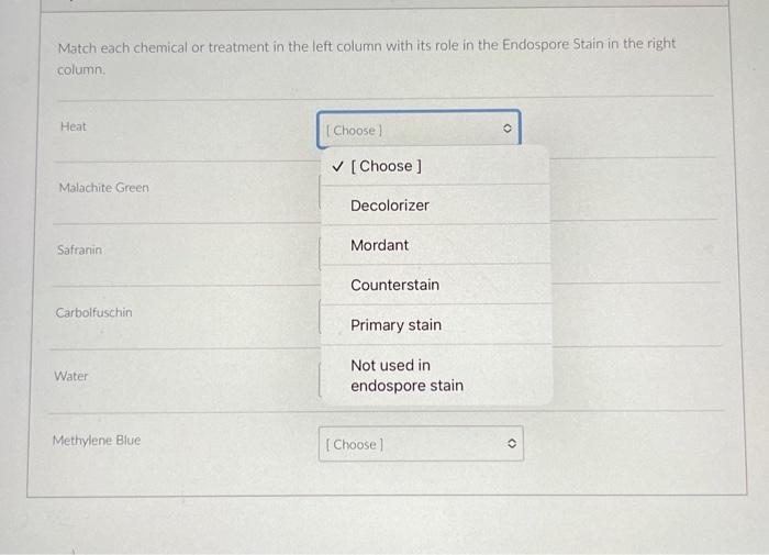 Solved Match each Gram-stain reagent with its function and | Chegg.com