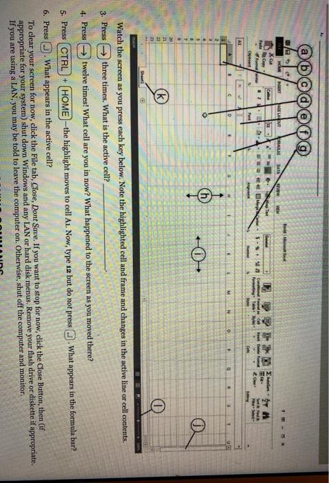 Solved Excel Practice Sheet-Screen Exercises Your Name: | Chegg.com