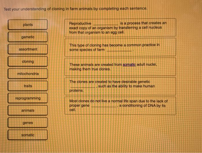 Solved Test your understanding of cloning in farm animals by | Chegg.com