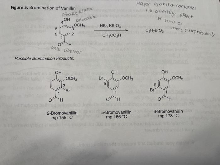 Solved during electrophile para product mixtures contain a | Chegg.com