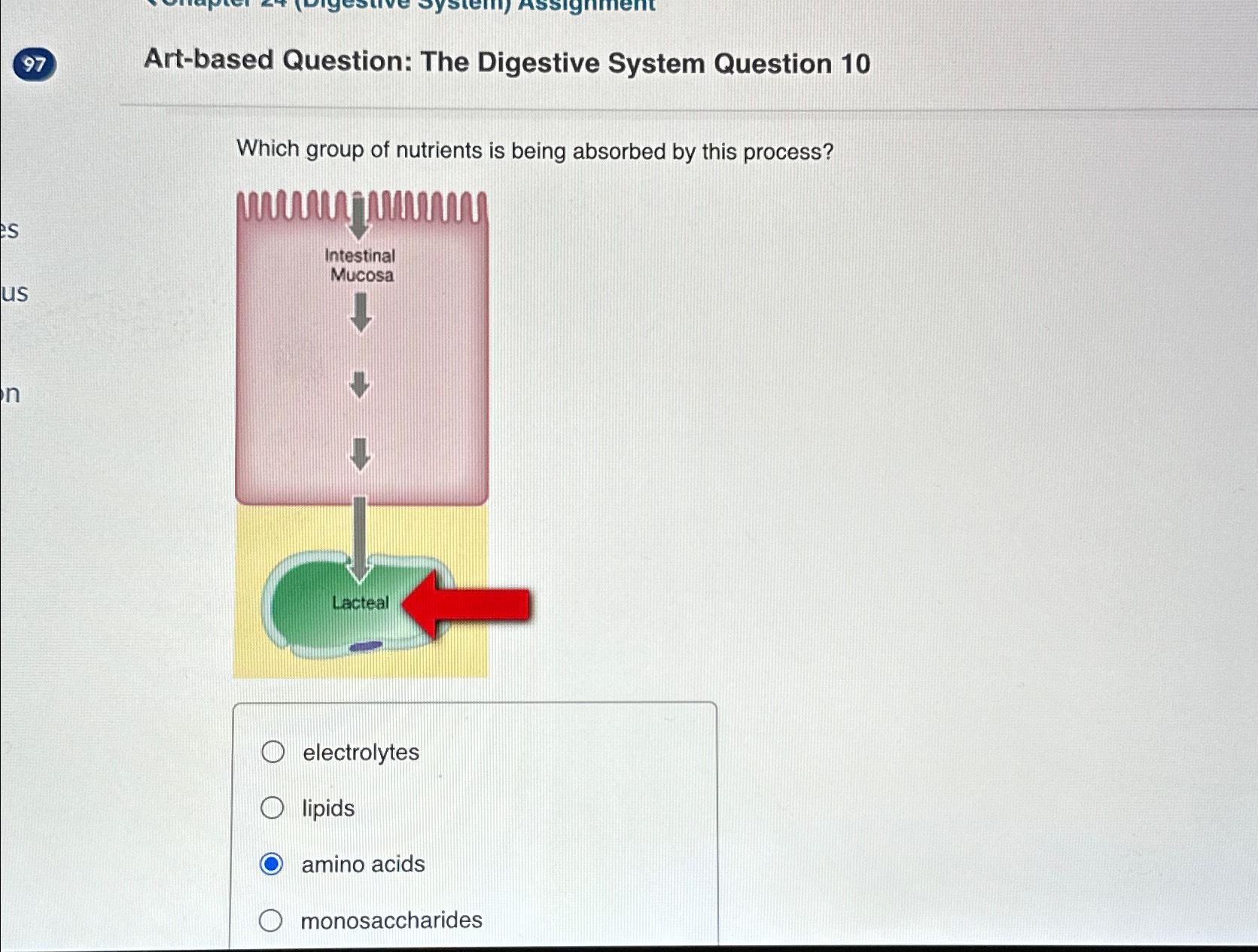 Solved 97Art-based Question: The Digestive System Question | Chegg.com