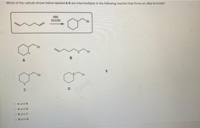 Solved Which of the radicals shown below labeled A-D are | Chegg.com