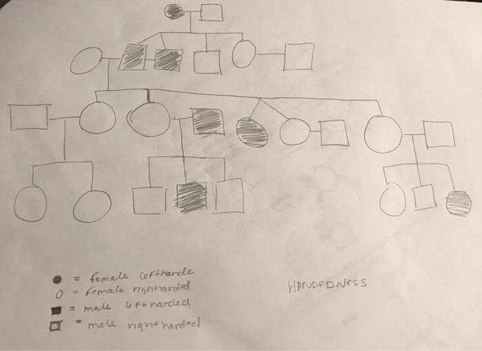 Solved what is the mode of inheritance ? shades-left handed | Chegg.com