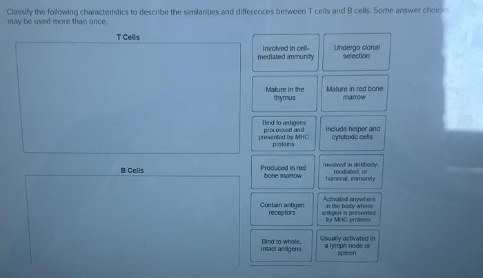 Solved Classify the following characteristics to describe | Chegg.com