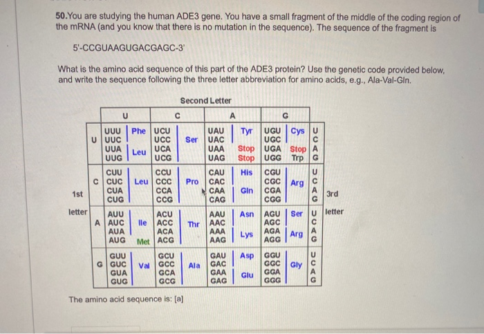 Solved 50. You are studying the human ADE3 gene. You have a | Chegg.com