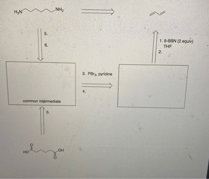 Solved HỌN NH2 5. 6. 1. 9-BBN (2 equiv) THF 2. 3. PBrz, | Chegg.com