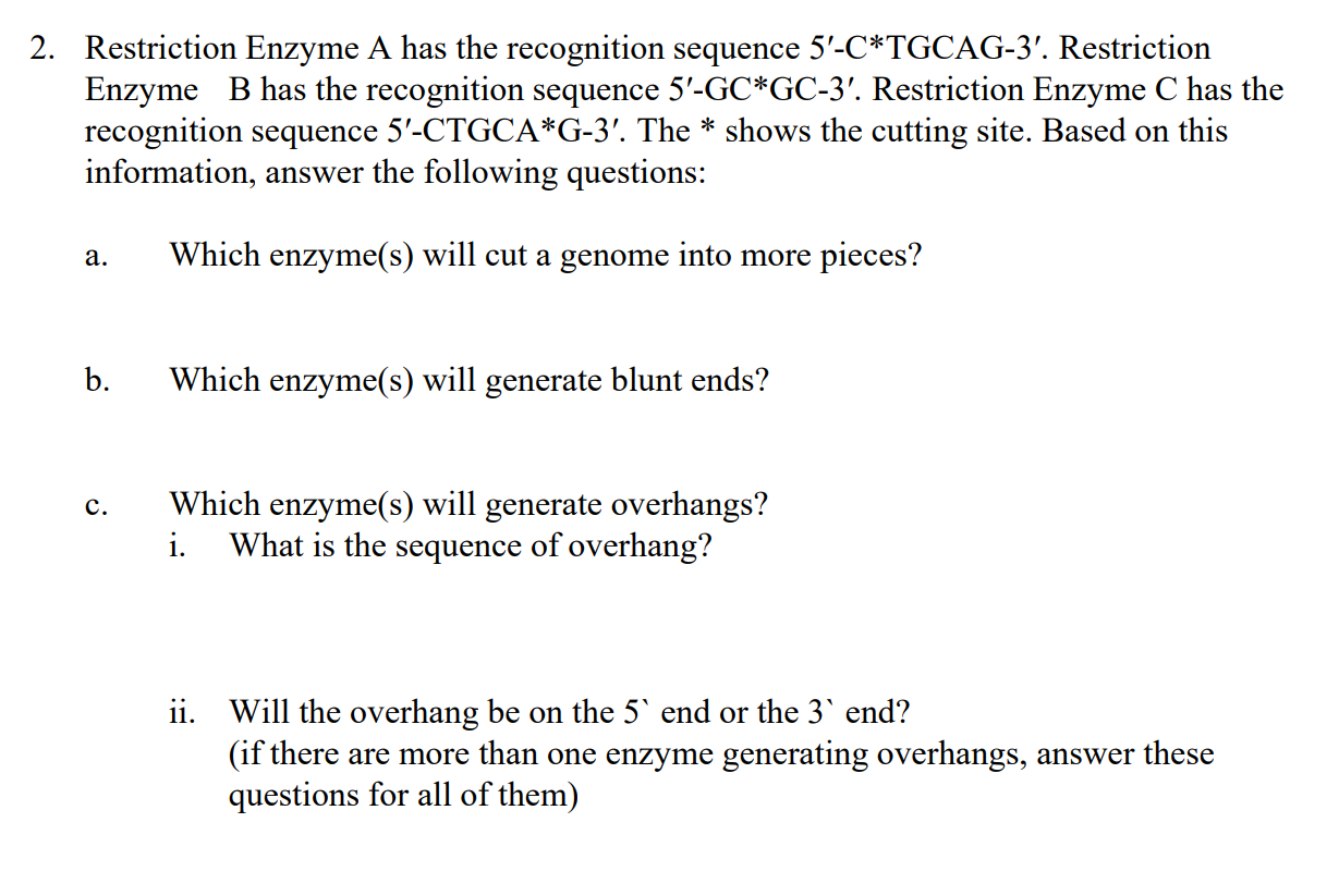 Solved Restriction Enzyme A has the recognition sequence | Chegg.com