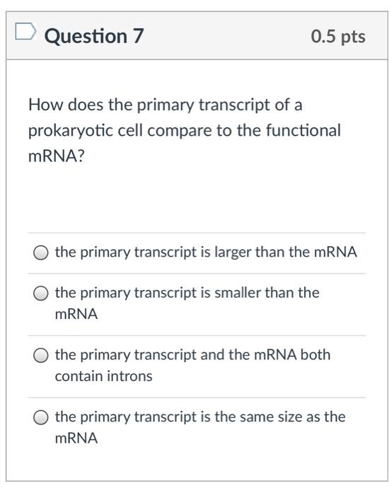 Solved Question 7 0.5 pts How does the primary transcript of | Chegg.com